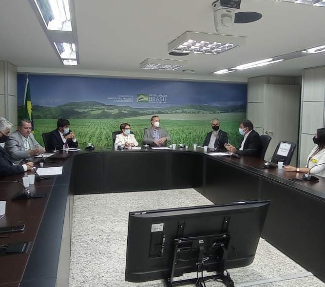 Deputado Zé Vitor participa de audiência com a Ministra da Agricultura ...